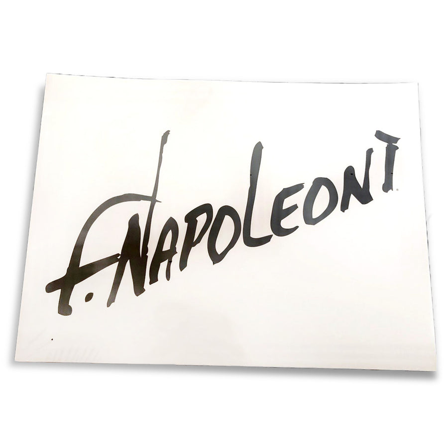 Fabio Napoleoni Gallery